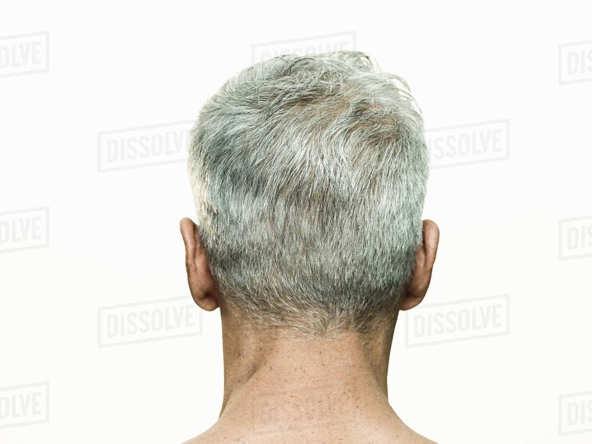 Rear view of mans head - Stock Photo - Dissolve
