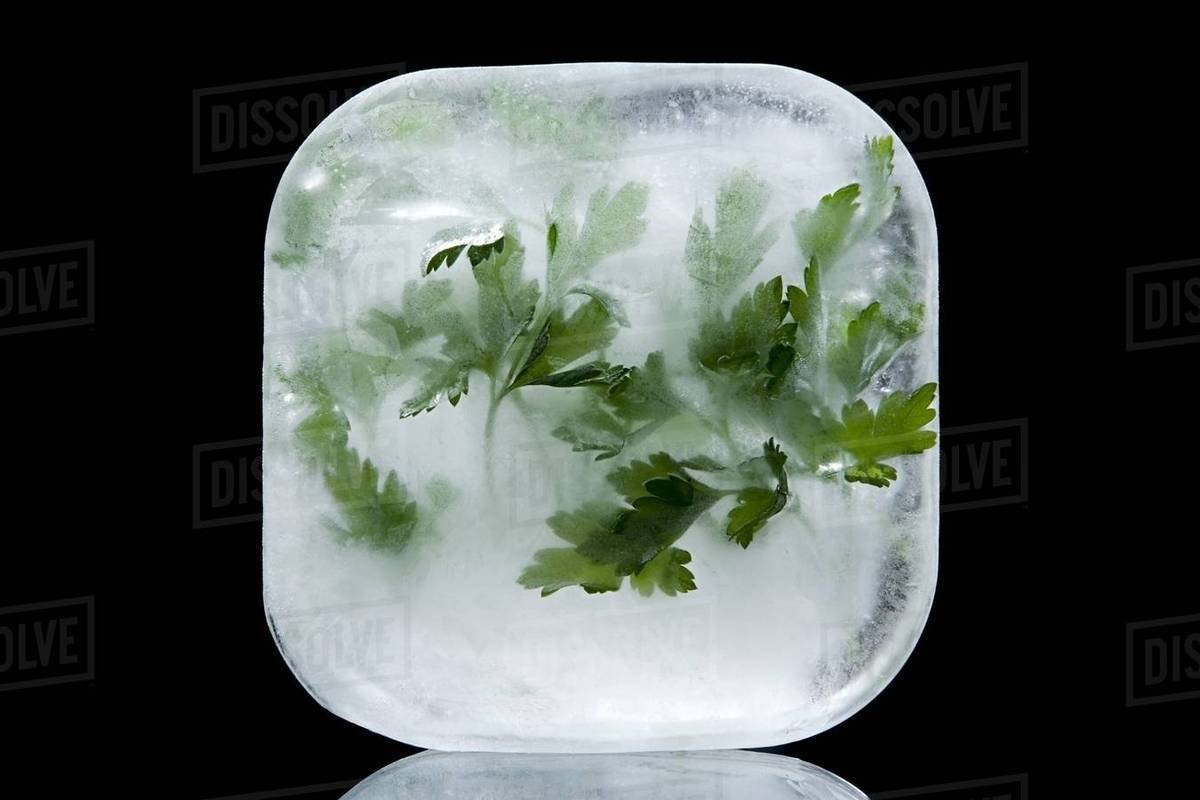 Frozen parsley - Royalty-free Stock Photo | Dissolve