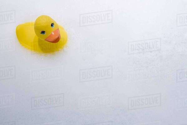 Rubber duck in bubble bath - Stock Photo - Dissolve