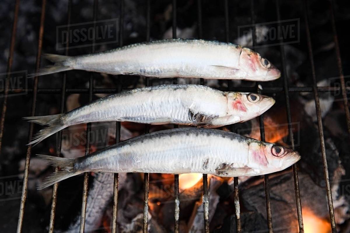 Fish on barbecue - Royalty-free Stock Photo | Dissolve