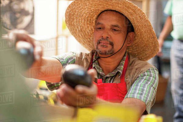 Market trader arranging fruits in stall - Stock Photo - Dissolve