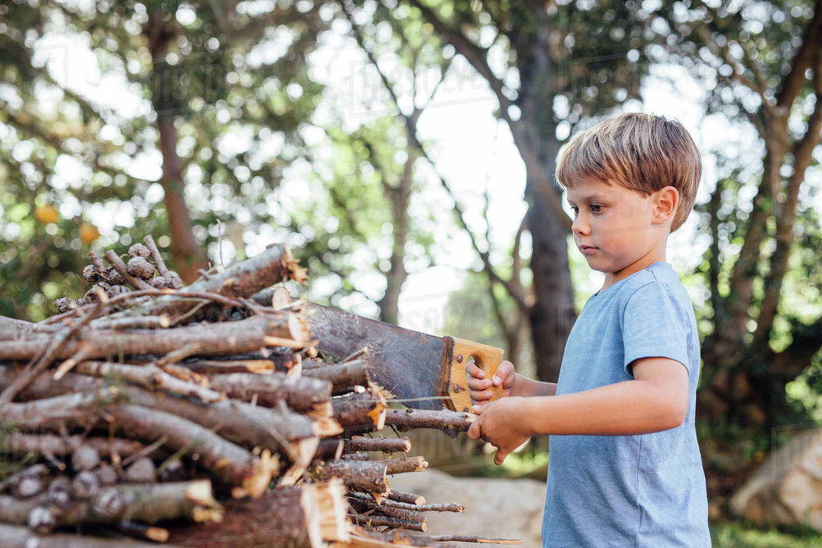 Boy sawing tree branch on woodpile in garden - Stock Photo - Dissolve