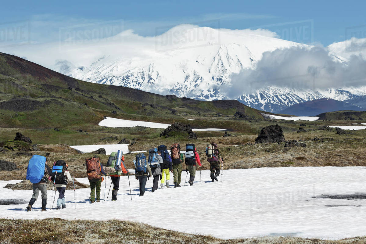Hiking on Kamchatka: group of hiker with backpack goes in mountain on ...
