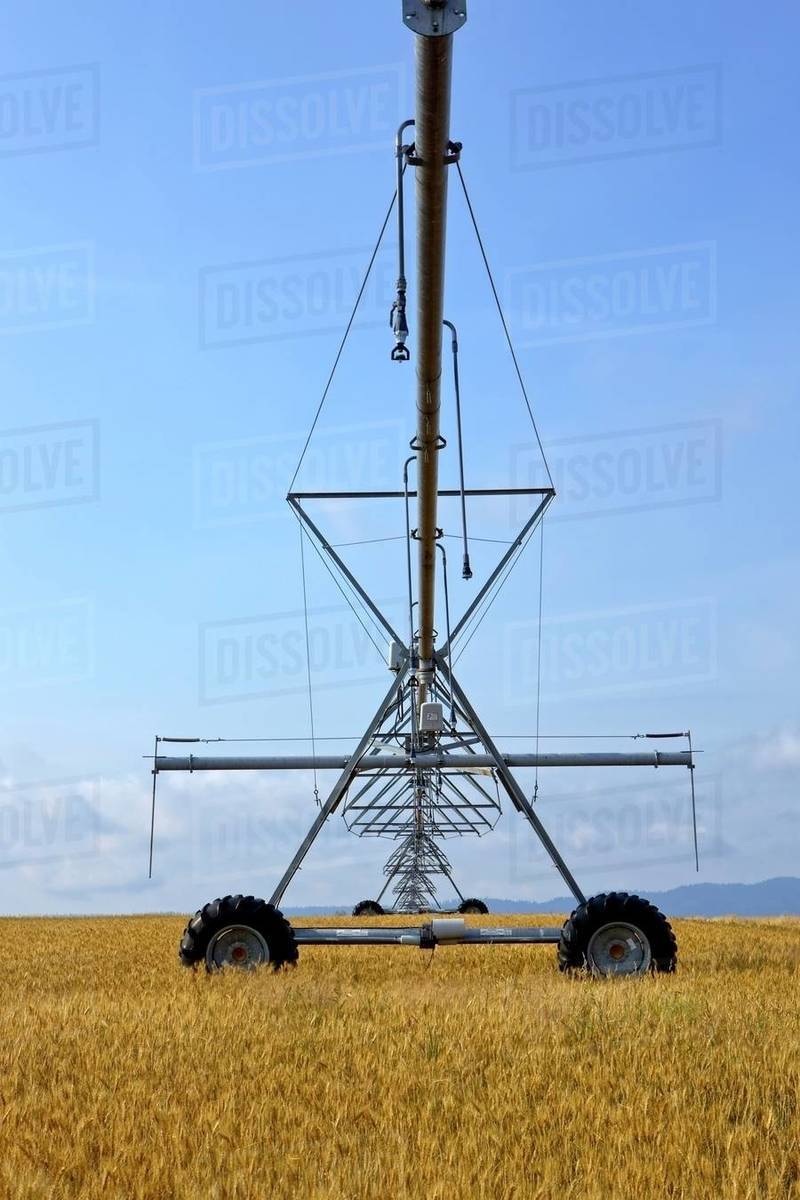 Large irrigation pipe system stands in an already harvested farm field ...