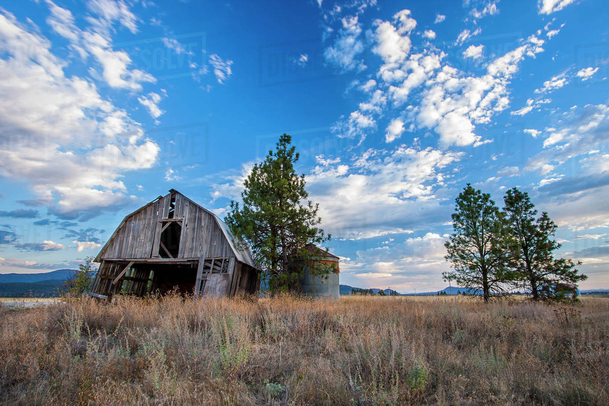 Old barn under a blue sky with clouds in the Rathdrum Prairie in north ...