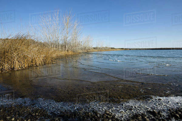 Along the icy southern shores of Banks Lake by Coulee, City, Washington ...