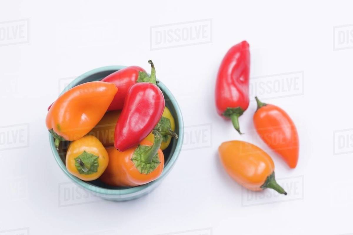An overview of sweet peppers on white in a studio setting. - Stock ...