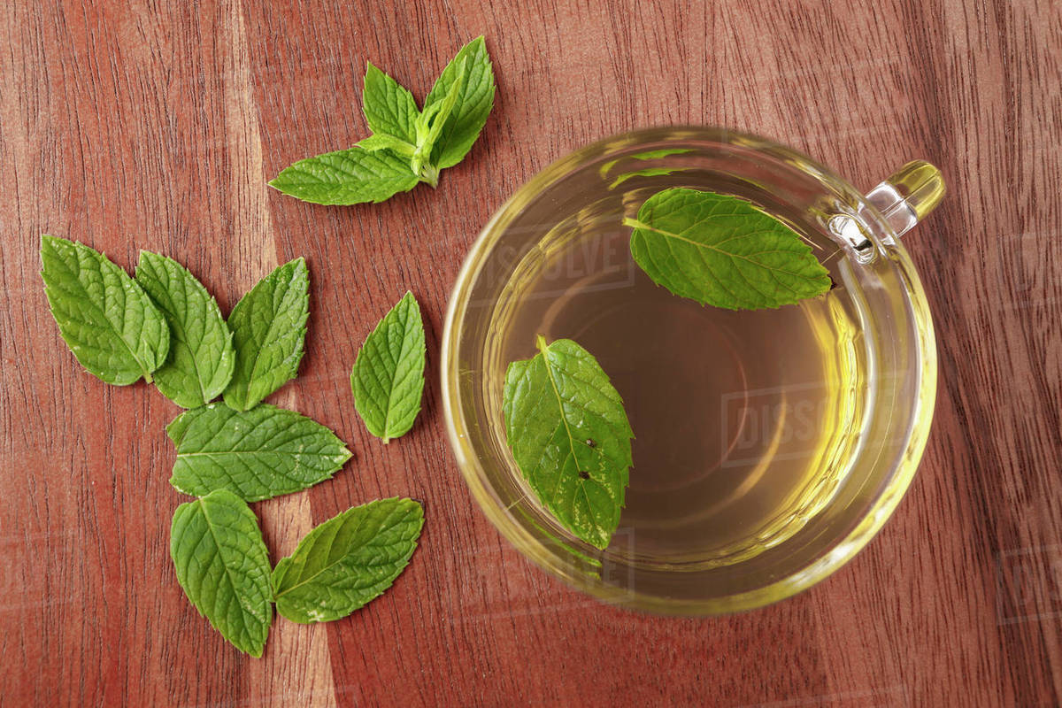An overview of a glass mug of peppermint tea and fresh peppermint ...