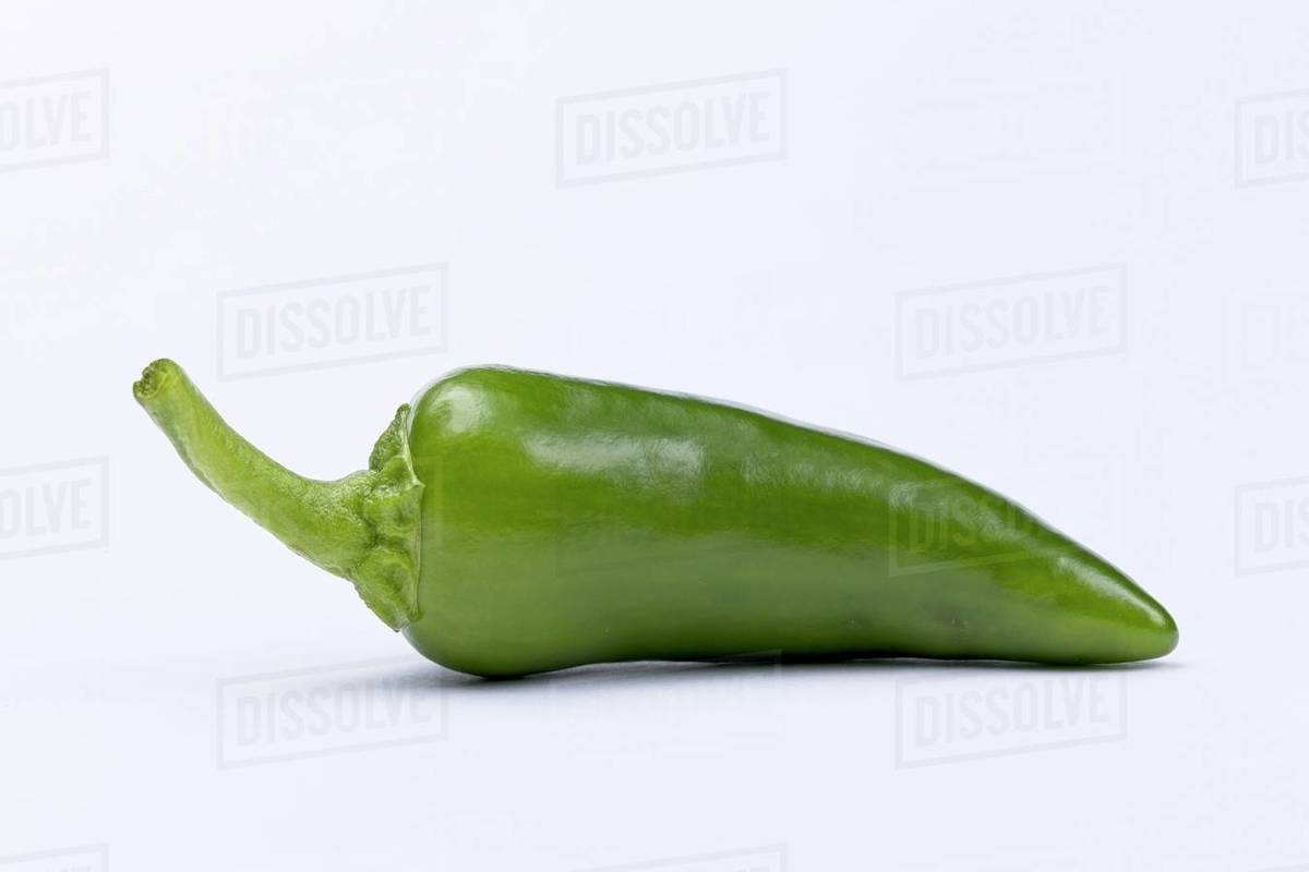 A close up studio photo of a spicy green pepper on a white background ...