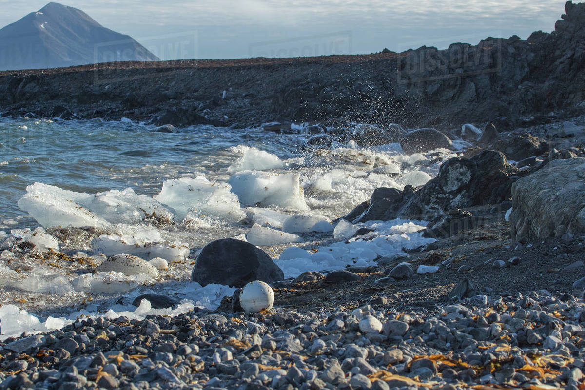 Plastic pollution in Arctic coast. - Royalty-free Stock Photo | Dissolve