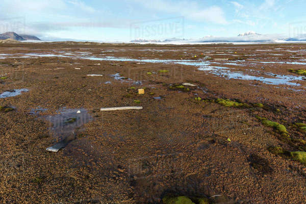 Plastic pollution in Arctic coast. - Royalty-free Stock Photo | Dissolve