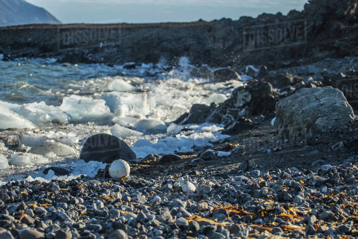 Plastic pollution in Arctic coast. - Royalty-free Stock Photo | Dissolve