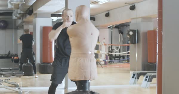 Perspiring Caucasian sportsman boxing mannequin in sports club ...