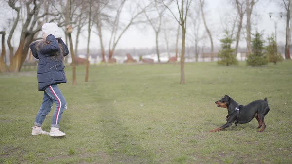 Little Caucasian girl kicking away barking dog in park. Wide shot of ...