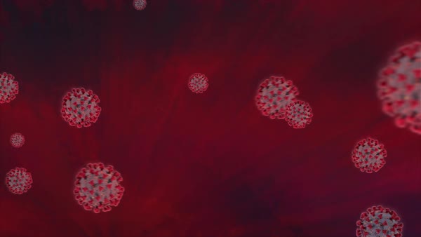 Realistic 3D animation of the Coronavirus 2019-nCoV Wuhan. SARS-CoV-2 ...