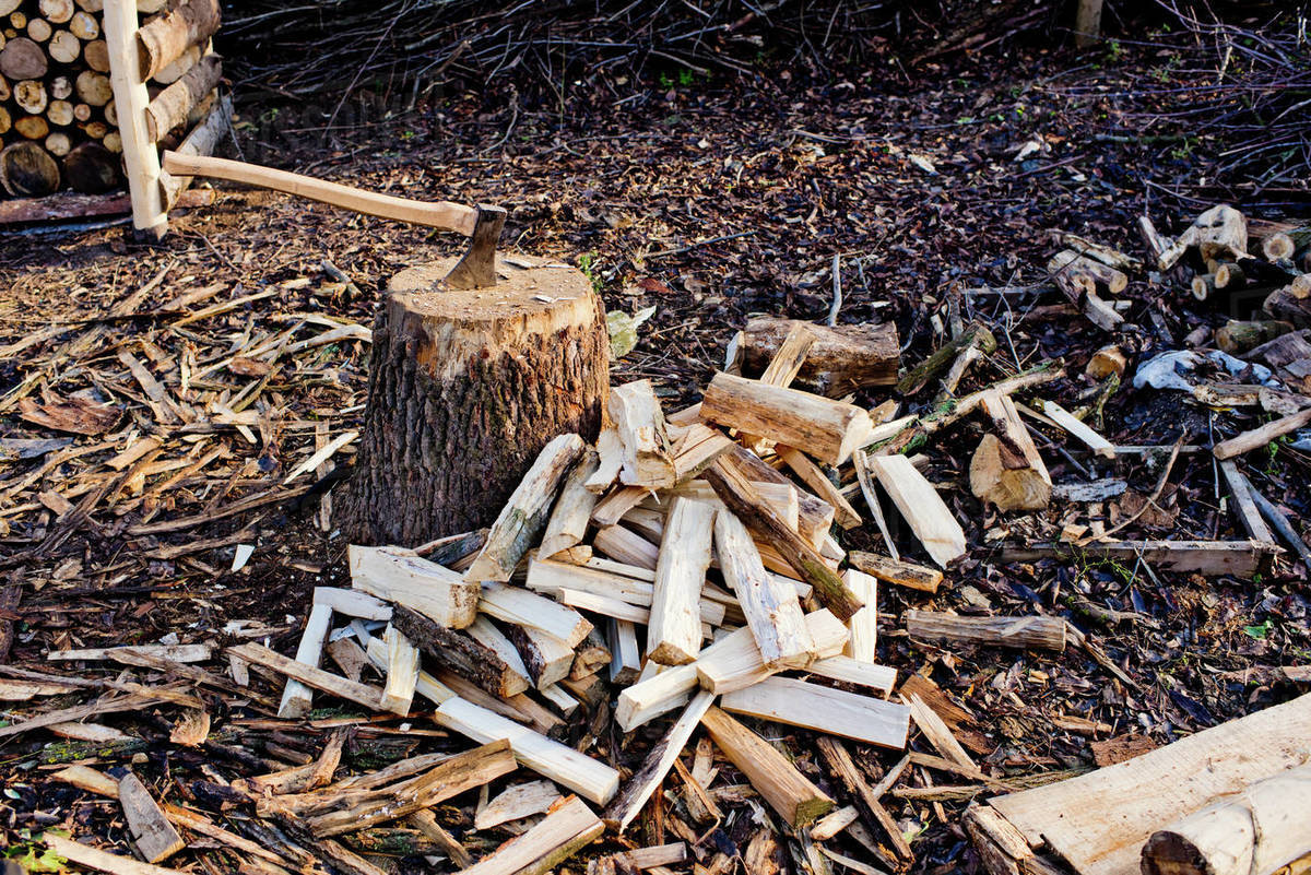 Firewood and old splitting axe. - Stock Photo - Dissolve
