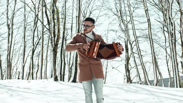 Young boy playing accordion calabrian typical instrument music on the ...