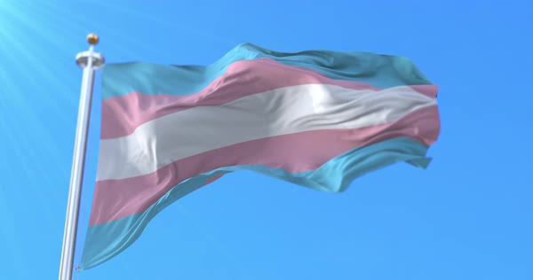 Transgender pride flag waving. Loop - 4K Royalty-free Stock Video ...