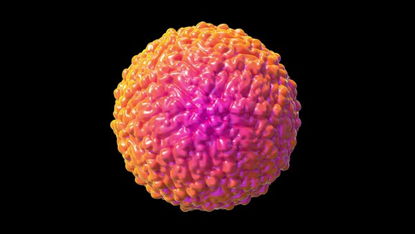 Zika virus, animation. This is an RNA (ribonucleic acid) virus from the ...