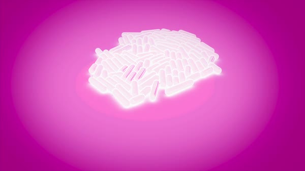 Bacterial multiplication. Animation showing the growth of bacteria ...