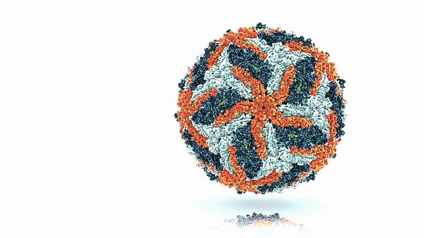 Zika virus. A 3D molecular model of the Zika virus - Stock Video ...