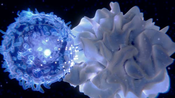 Ejaculate and cervical mucus. - Stock Video Footage - Dissolve