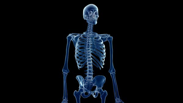 Human skeleton against a black background, zooming in to painful elbow ...