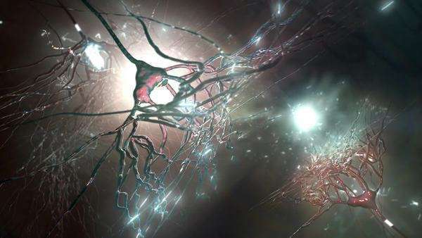 Pyramidal nerve cells. - HD Rights-managed Stock Video Footage | Dissolve