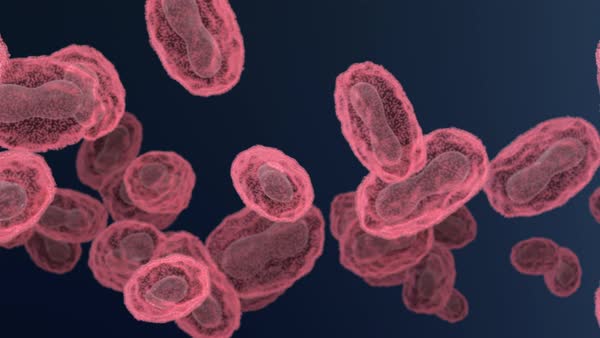 Monkeypox viruses, animation - 4K Royalty-free Stock Video Footage ...