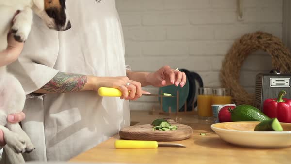 Lesbian couple cook at kitchen with pet, eat try vegetable with happy ...