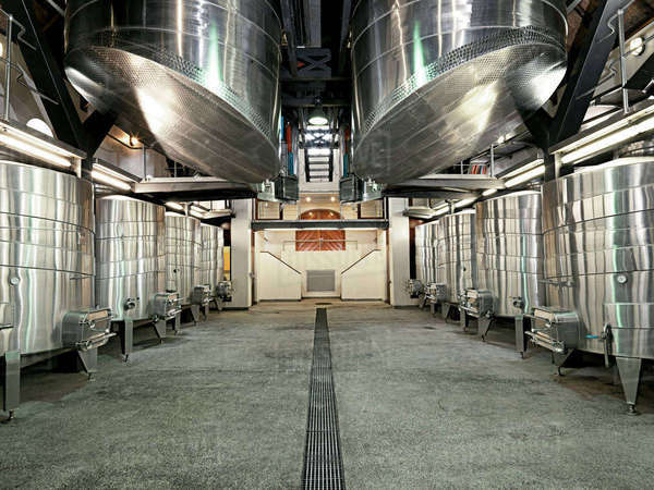 Inside winery - Royalty-free Stock Photo | Dissolve