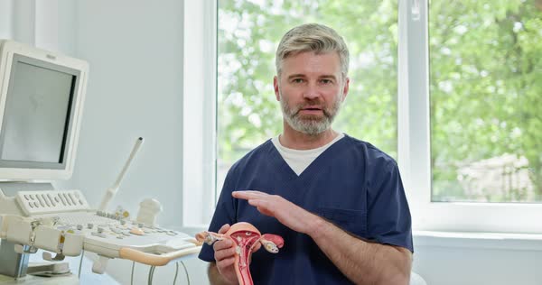 A gynecologist explaining the female reproductive system using an ...