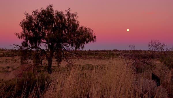 Sunset Over Australian Outback Way Outback: Camping Tour In Australian