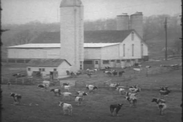 1950s - A farm in Newville, Pennsylvania uses electric appliances to ...