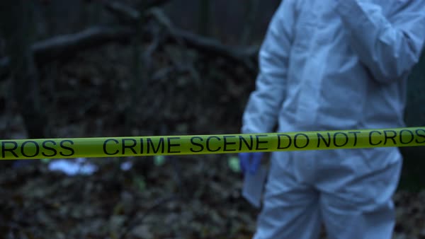 Crime scene in the woods, murder site, forensic expert collecting ...