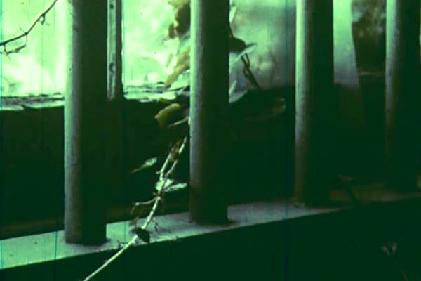 A cell block with guards and inmates is shown, in a prison, in ...