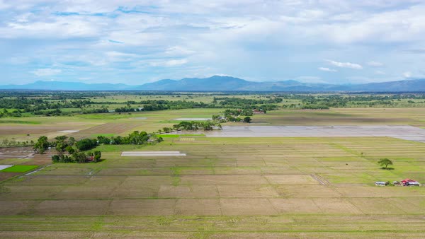 Paddy fields in the Philippines. The rice fields are flooded with water ...