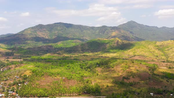 Farming and growing plants in rural areas of Mindanao island ...