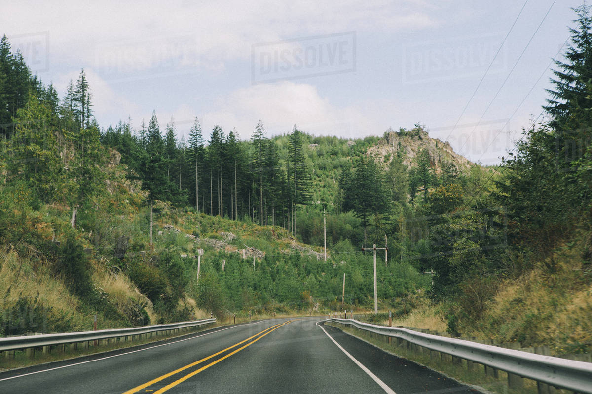 Roadway Through Wooded Area Stock Photo Dissolve roadway-through-wooded-area-stock-photo-dissolve