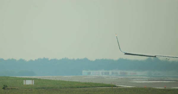 The plane takes off. Frame of the plane taking off from the runway, we ...