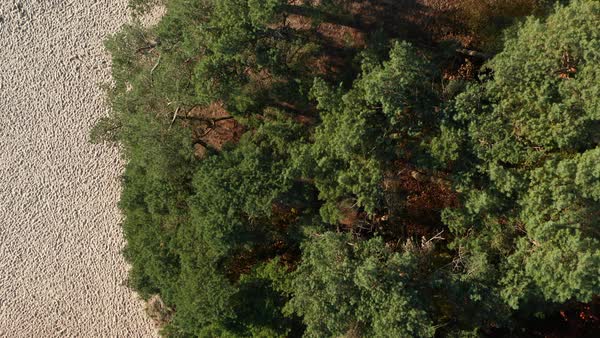 Top View Of The Sand Drifts Soesterduinen, Netherlands, aerial - Stock ...