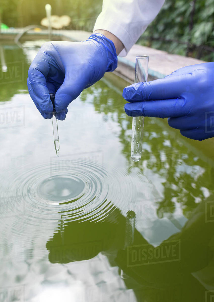 Water sample. Bacterial control of pool water. Checking the amount of ...