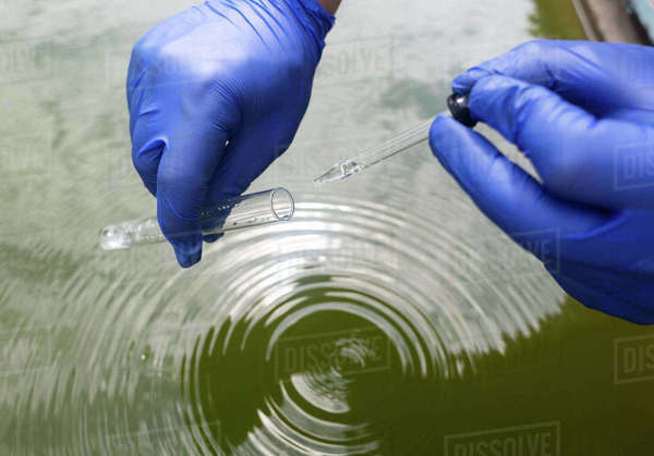 Water sample. Treatment facilities. Quality control of water that has ...