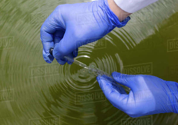 Water sample. Treatment facilities. Quality control of water that has ...