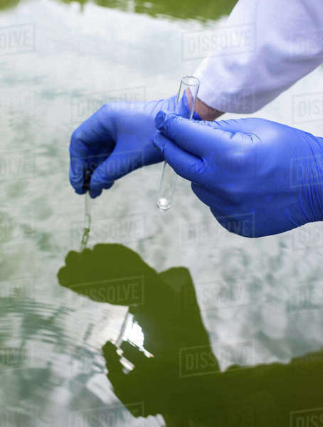 Water sample. Checking the condition of rivers or natural lakes. Water ...