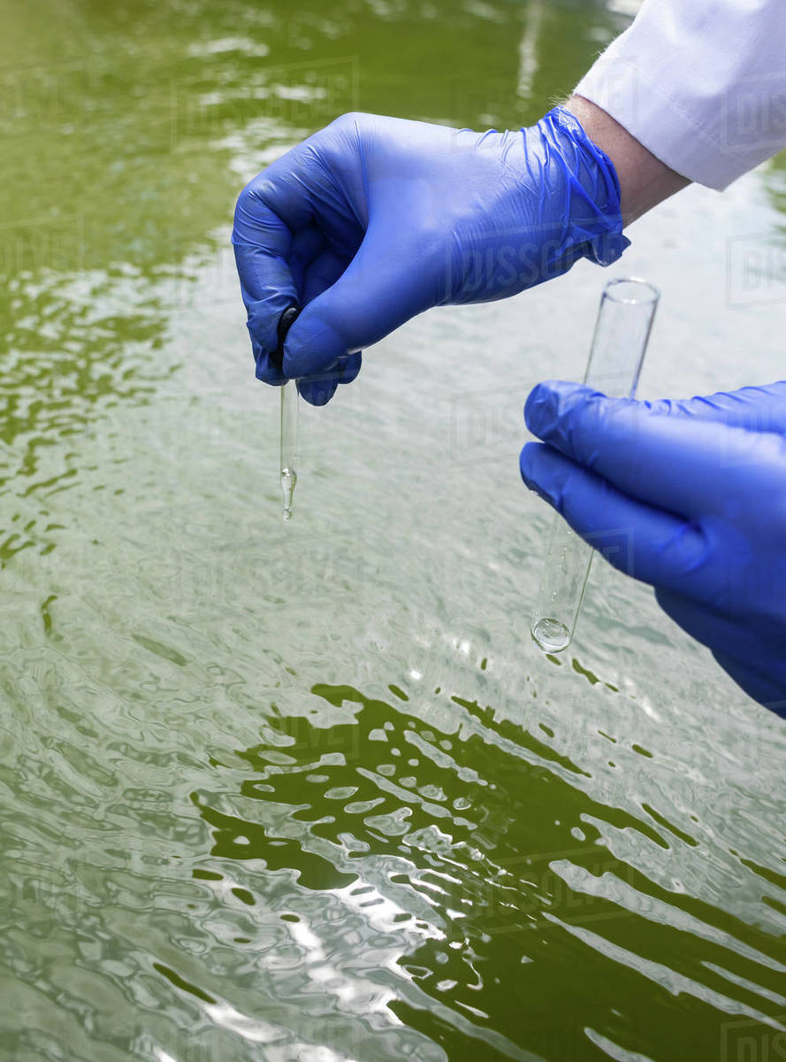 Water sample. Checking the condition of rivers or natural lakes. Water ...