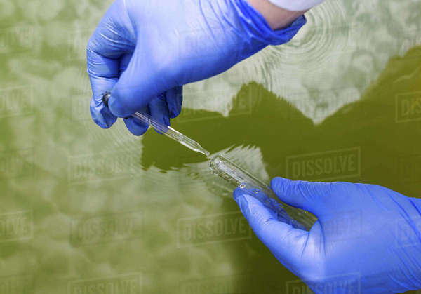 Water sample. Checking the condition of rivers or natural lakes. Water ...