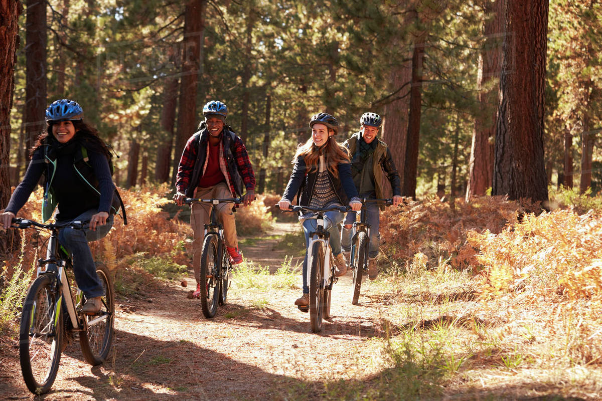 Group four friends in helmets riding bikes on a forest path - Royalty ...