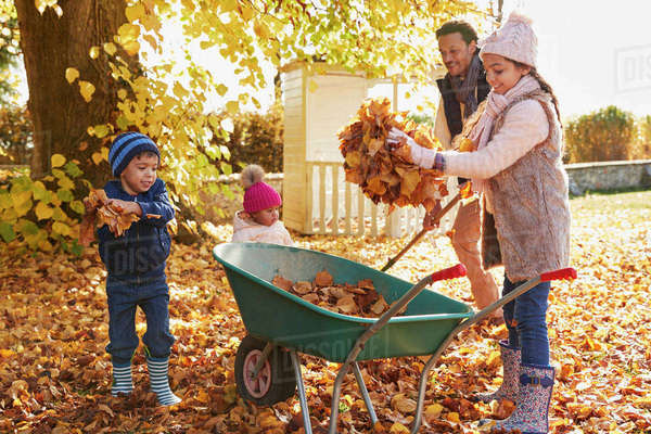Children helping father to collect autumn leaves in garden - Royalty ...