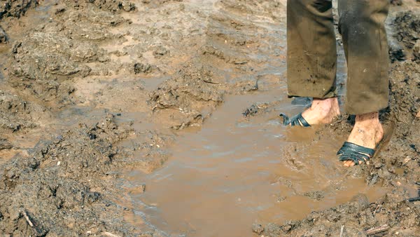 Men's feet in a puddle and swamp. A man stomps in a puddle in slippers ...